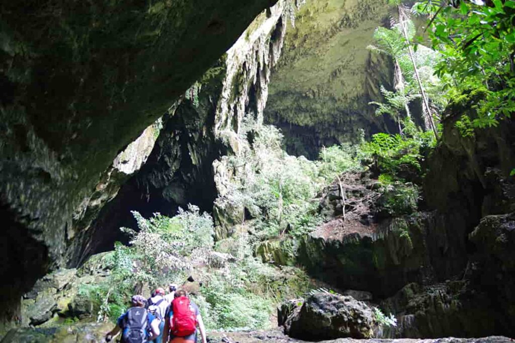南国マレーシアでトレッキング！おすすめトレッキングスポットと注意点 | Greenfield（グリーンフィールド）