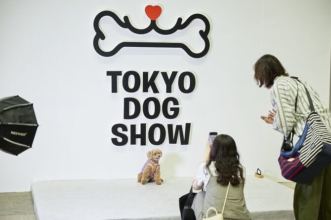 最新アウトドアが集結！「TOKYO OUTDOOR SHOW 2026」開催決定 | Greenfield（グリーンフィールド）
